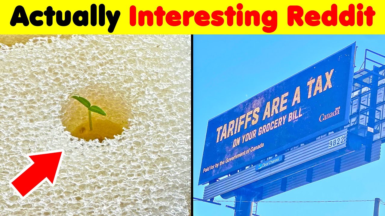 Mildly Interesting Things That Are Weirdly Addictive - YouTube