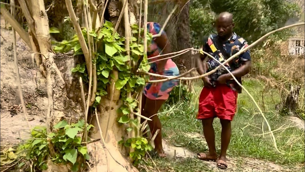 Inside the bush activities - YouTube