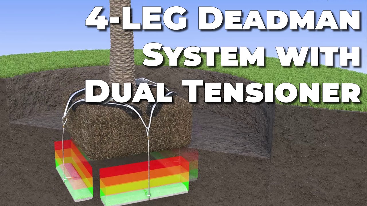 Tree stabilization using Platipus 4-LEG Deadman System with Dual Tensioners: RF3RDMIP / RF4RDMIP ...