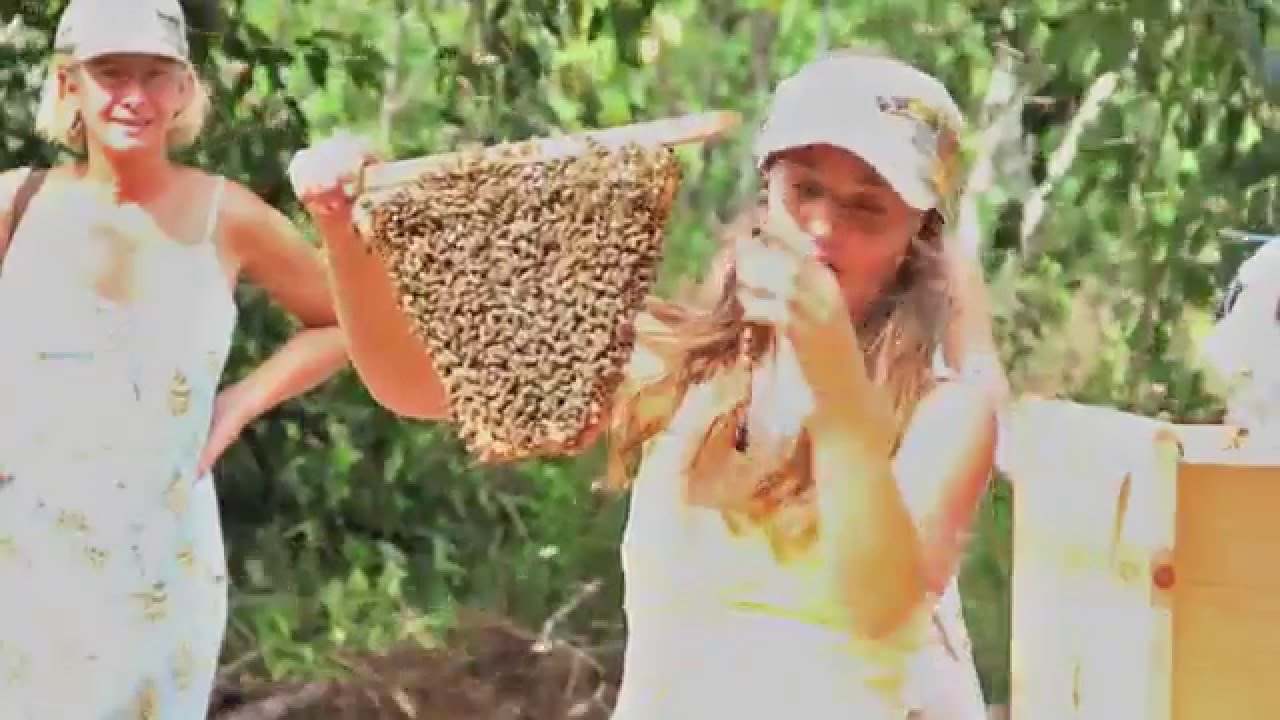 Kalani Permaculture: Intuitive Beekeeping 2 of 4 - YouTube