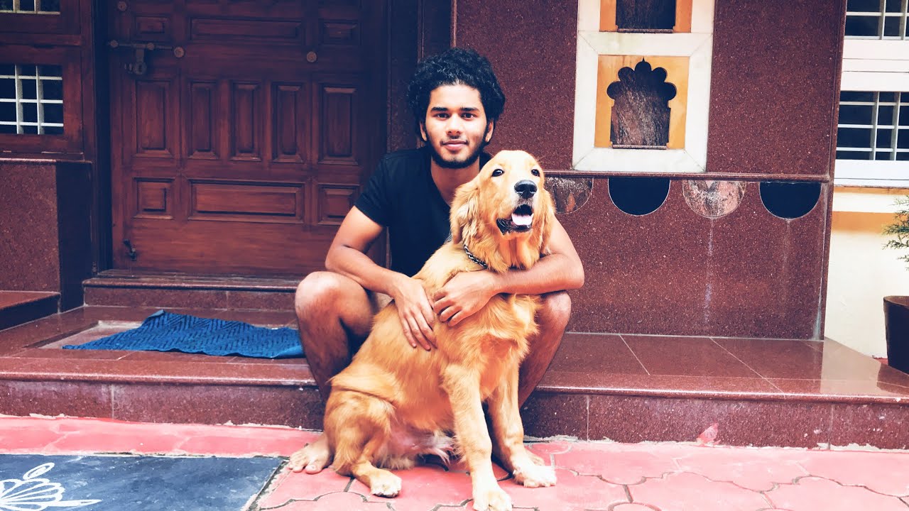 My DOG story /marathi - YouTube