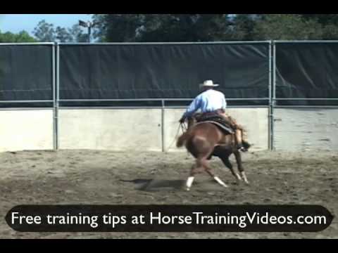 Cutting Horse Training Problems, 3-year-old, part 2 - YouTube
