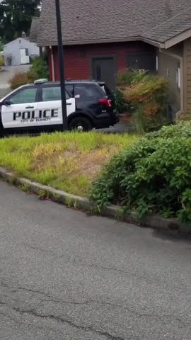 Stop doing illegal 911(cop)is waiting for you to call emergency #cops # ...