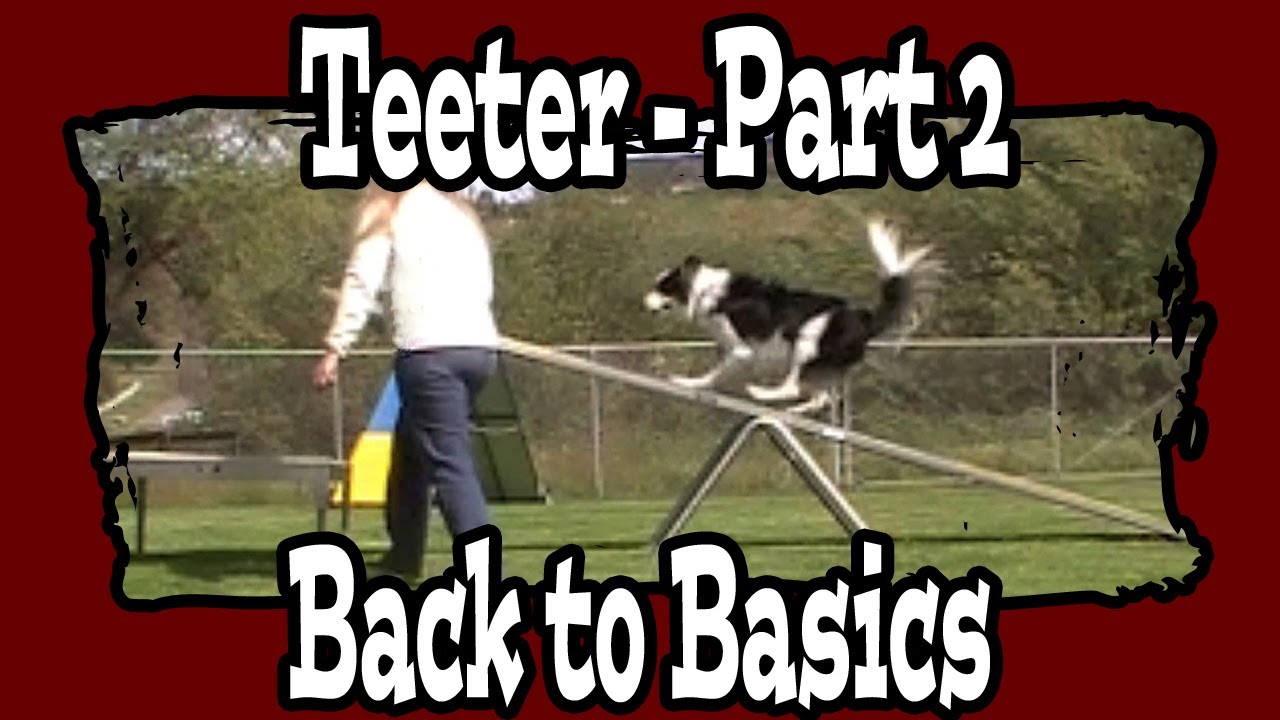 Teeter Training Part 2 - Clicker Agility Training - YouTube