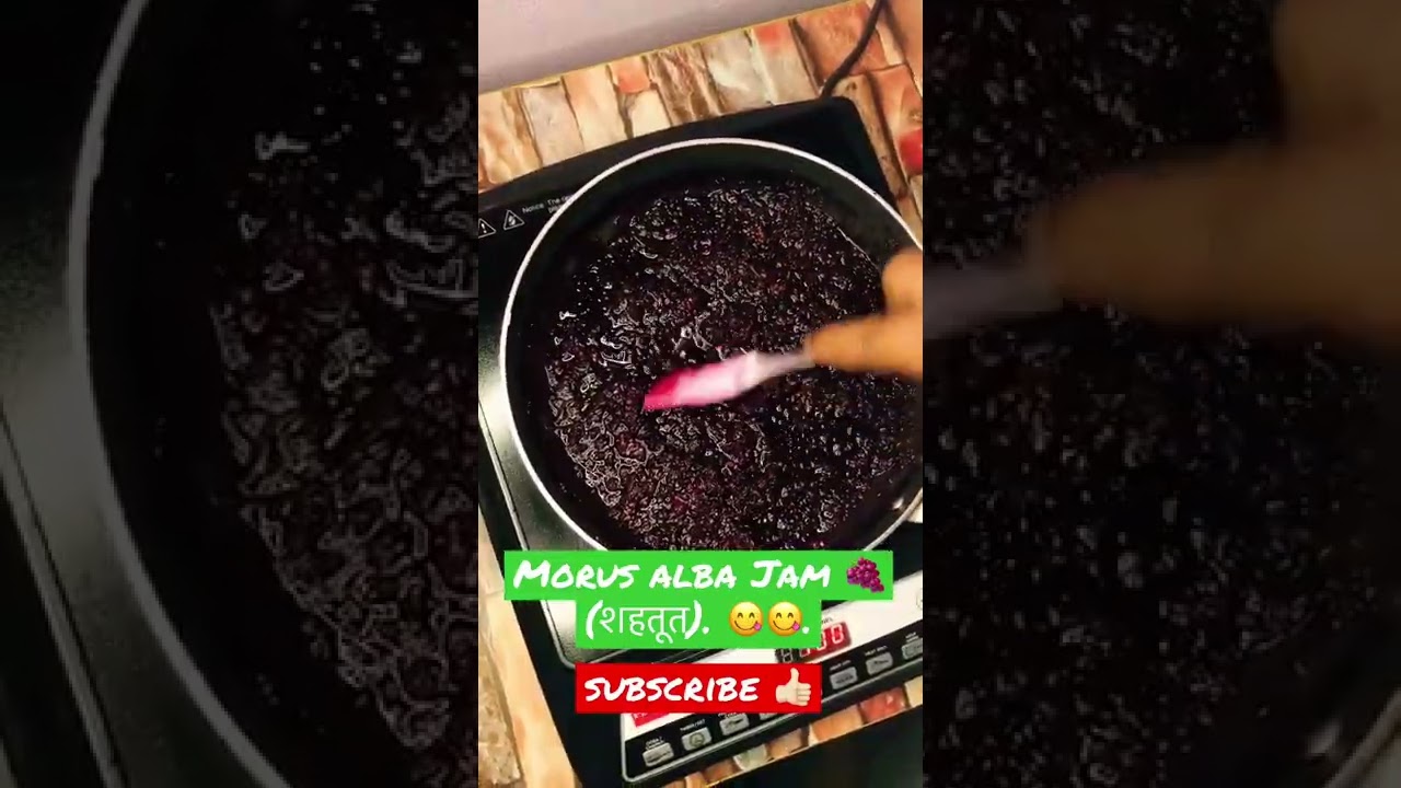 Morus alba Jam 🍇(शहतूत). 😋😋#foodindia #morusalba #shatut #foodie # ...