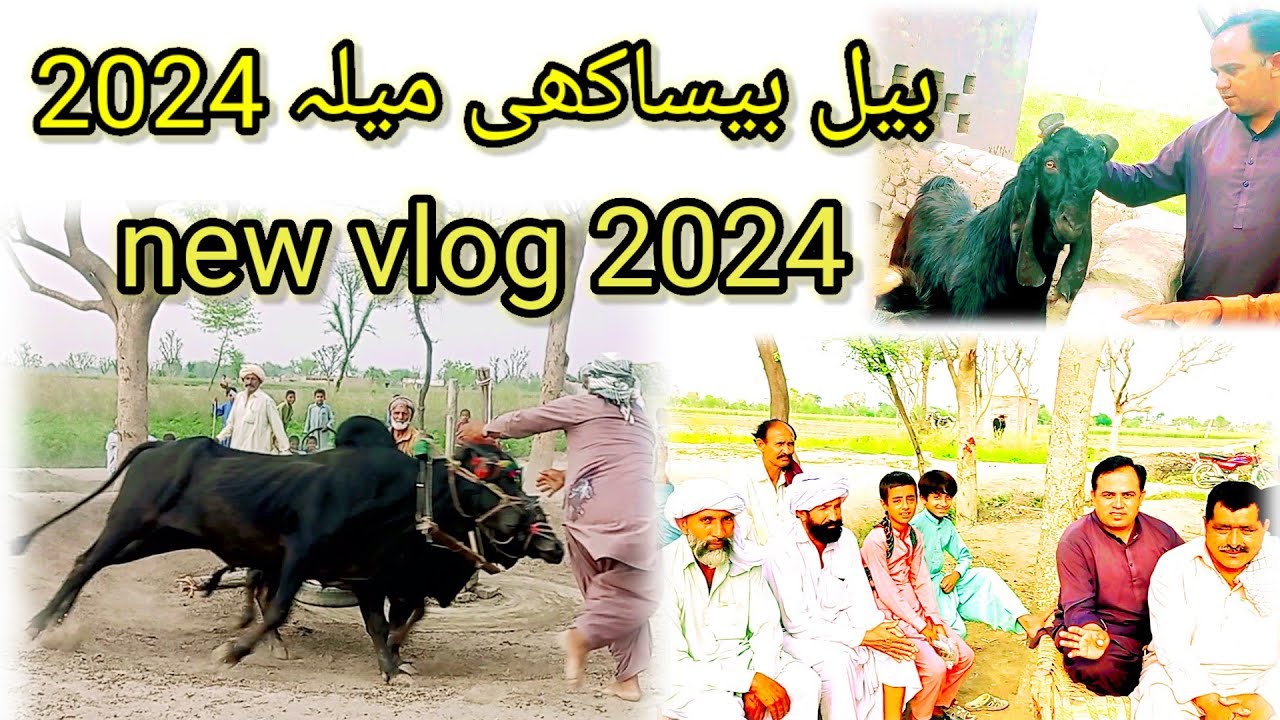 bail baisakhi mela festival 2024 ️🎉 SaBiR SaHaR New vlog 2024 - YouTube