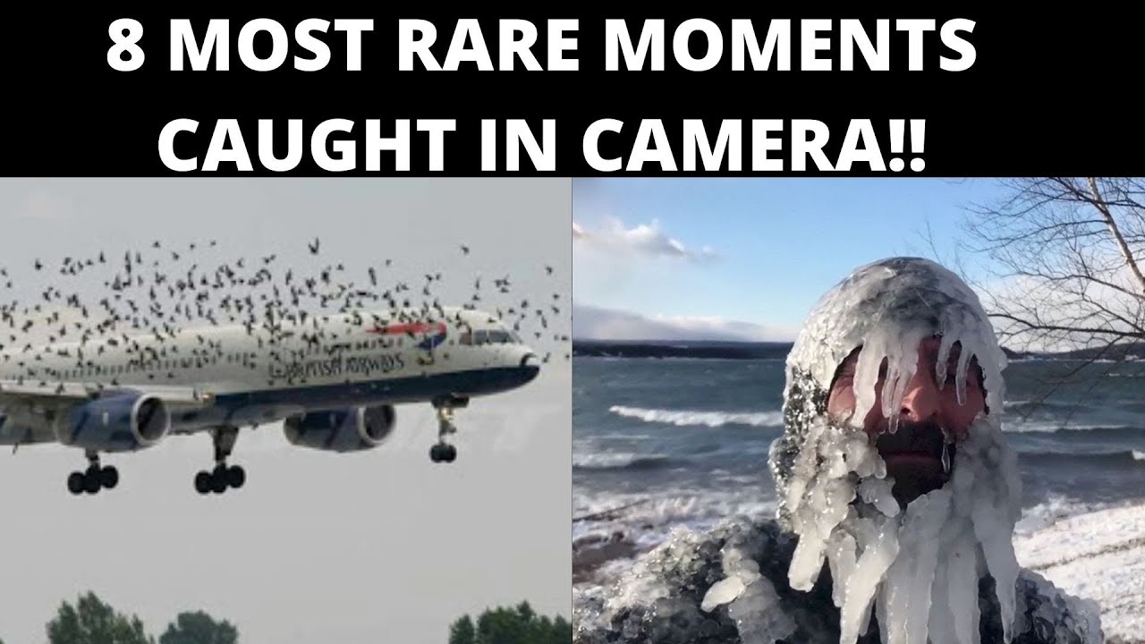 8 MOST RARE MOMENTS CAUGHT ON CAMERA!!! - YouTube