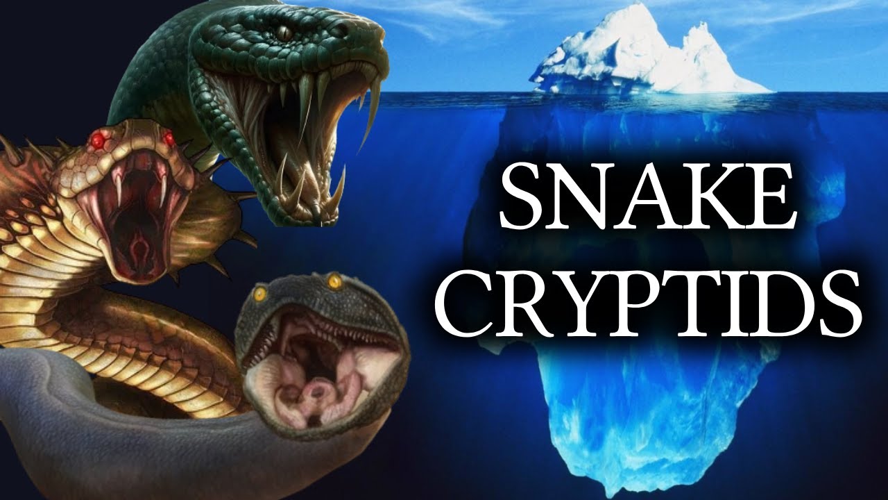 The Snake Cryptids Iceberg Explained - YouTube