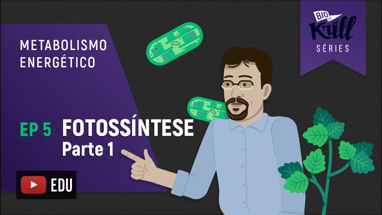 BioKrill Series - Fotossíntese (Metabolismo Energético - EP 5) - YouTube