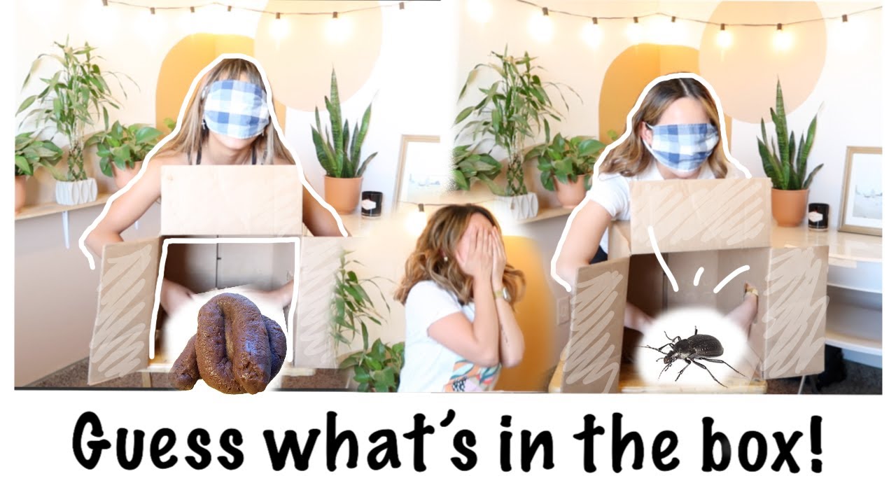 WHAT'S IN THE BOX CHALLENGE | WHAT'S IN THE BOX? | GUESS WHAT'S IN THE ...
