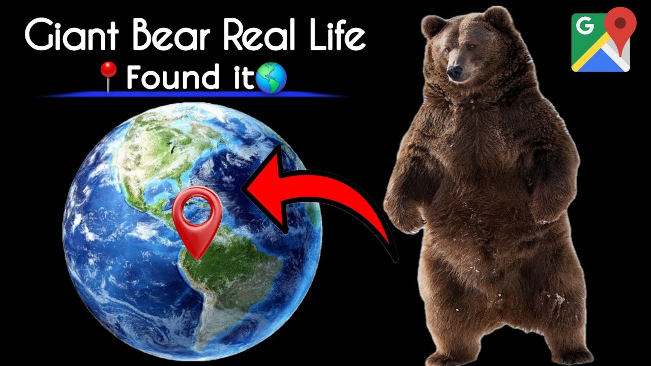 Giant Bear 🐻 Real Life Found On Google Earth & Maps - YouTube