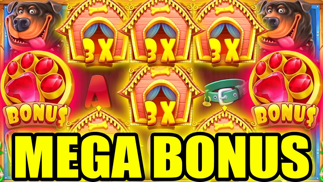 ŠÍLENÝ EPIC BONUS 300X DOG HOUSE 🐶 NĚVĚŘÍM SVÝM OČÍM, ŽE SE TO STALO 🤑 ...