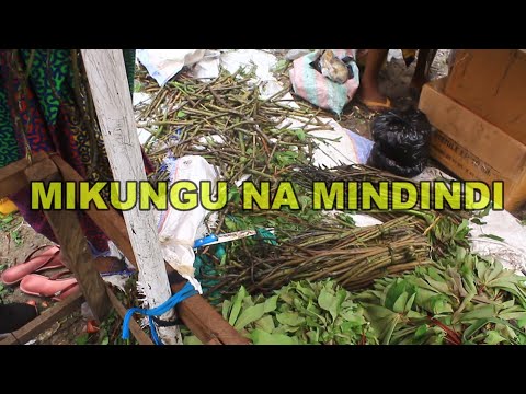 DÉCOUVERTE : MIKUNGU NA MINDINDI BALAMBAKA NGO NDENGE NINI BOLANDA ...