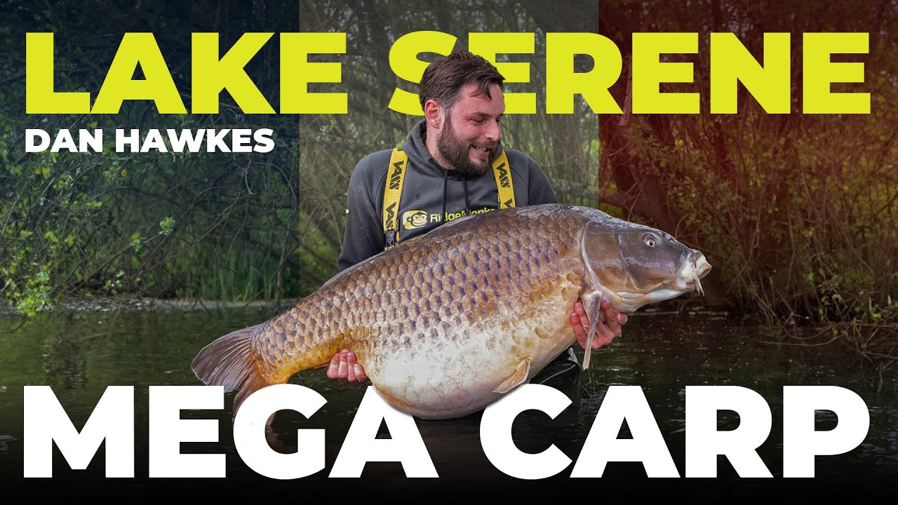 89lb COMMON CARP! Dan Hawkes Takes On The Notorious Lake Serene - YouTube