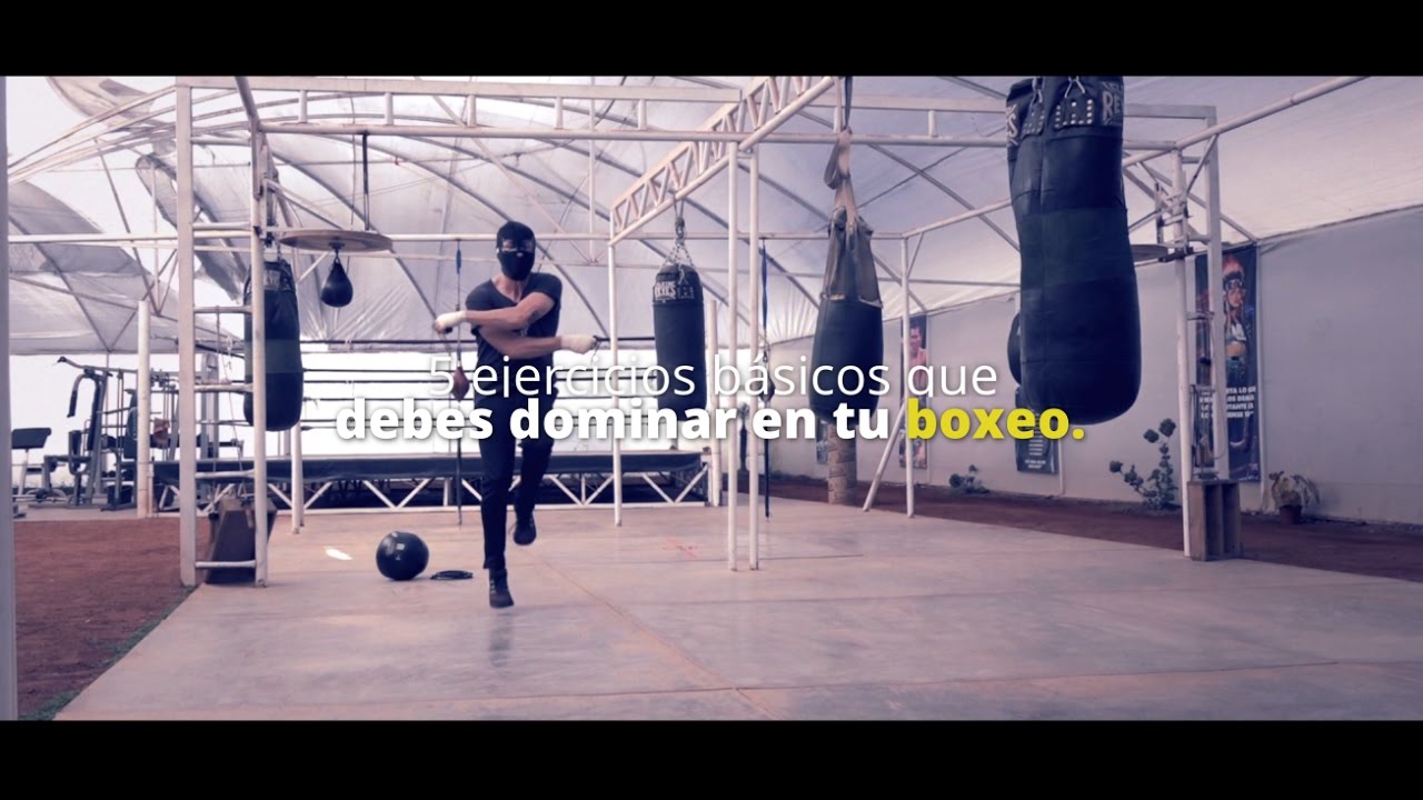 5 ejercicios básicos que un boxeador amateur debe dominar. - YouTube