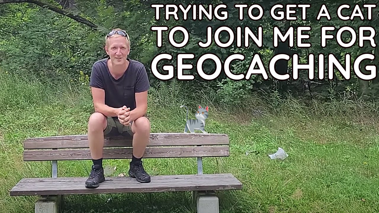 A CAT JOIN ME FOR GEOCACHING - YouTube