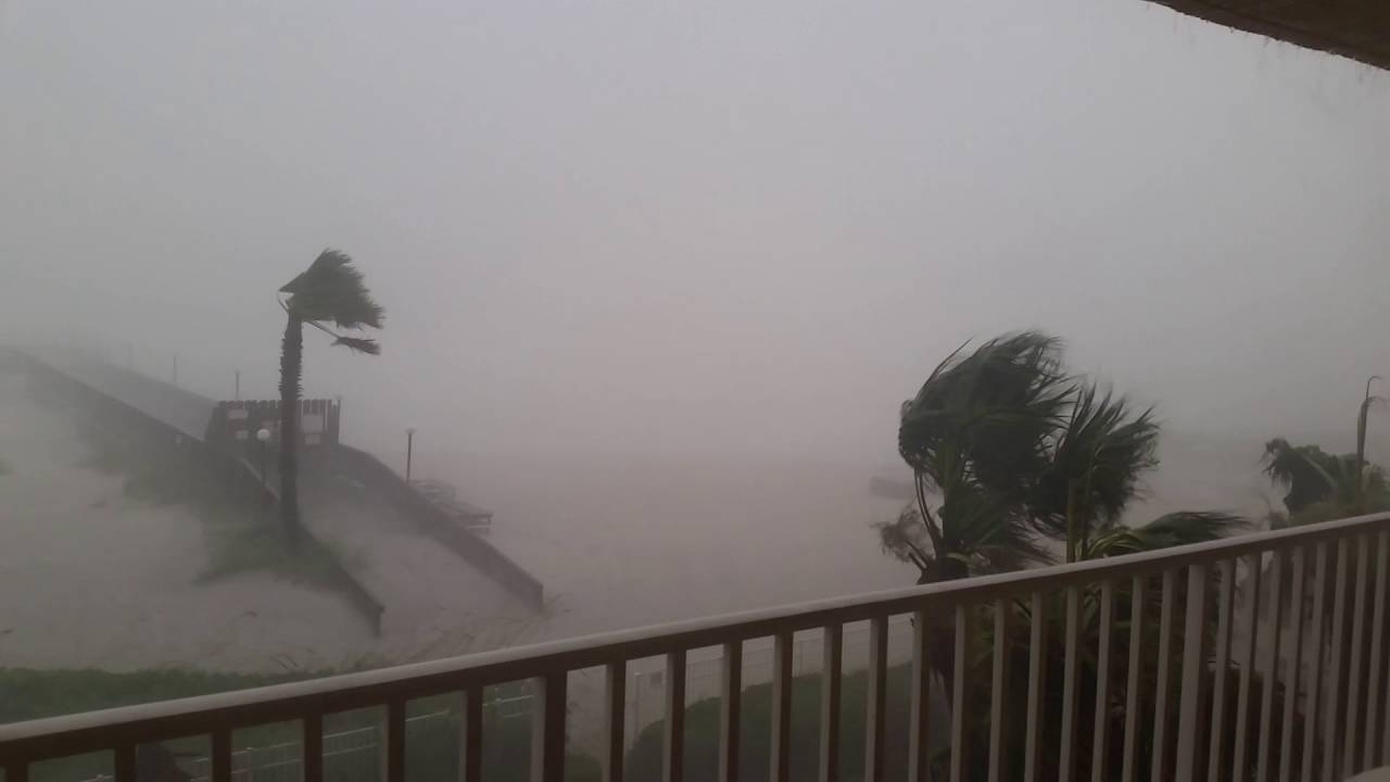 Hurricane Hermine. Indian Shores, Florida. - YouTube