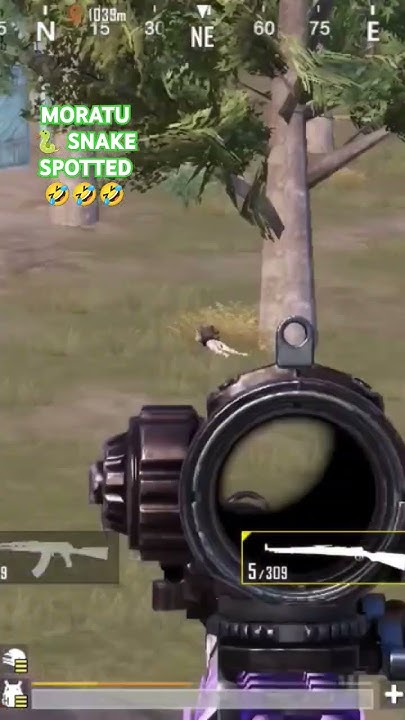 Moratu 🐍 Snake spotted 🤣🤣#bgmi #eventgameplay#snake#hunting#erangel@Wolverinegamin - YouTube