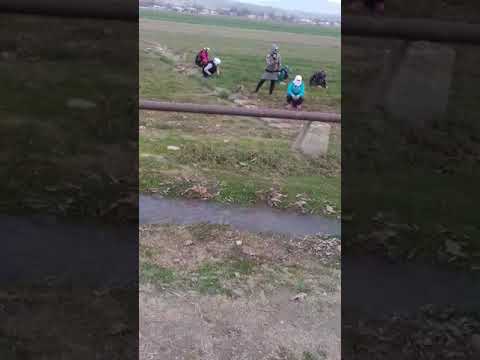 Sekis - YouTube