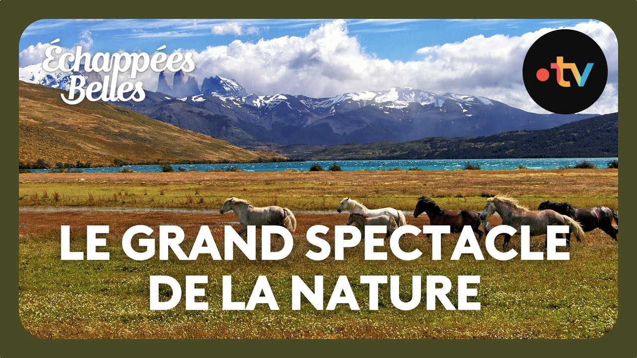 Patagonie, le grand spectacle de la nature - Échappées belles - YouTube