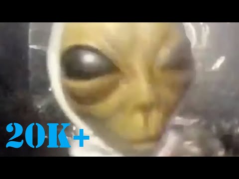 Harmanım Baba Nerde Çarşafım - Full Orjinal Yeni Akım