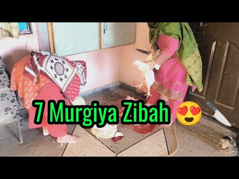 New 7 Chicken Ready To Zibah