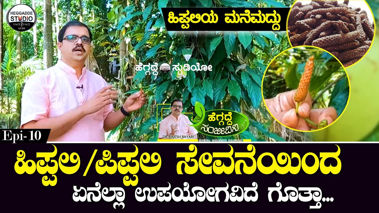 ಹಿಪ್ಪಲಿ/ಪಿಪ್ಪಲಿ ಸೇವನೆಯಿಂದ ಏನೆಲ್ಲಾ ಉಪಯೋಗವಿದೆ ಗೊತ್ತಾ | Pippali Benifits ...