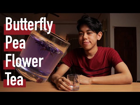 Butterfly Pea Flower Tea (Teh Bunga Telang)