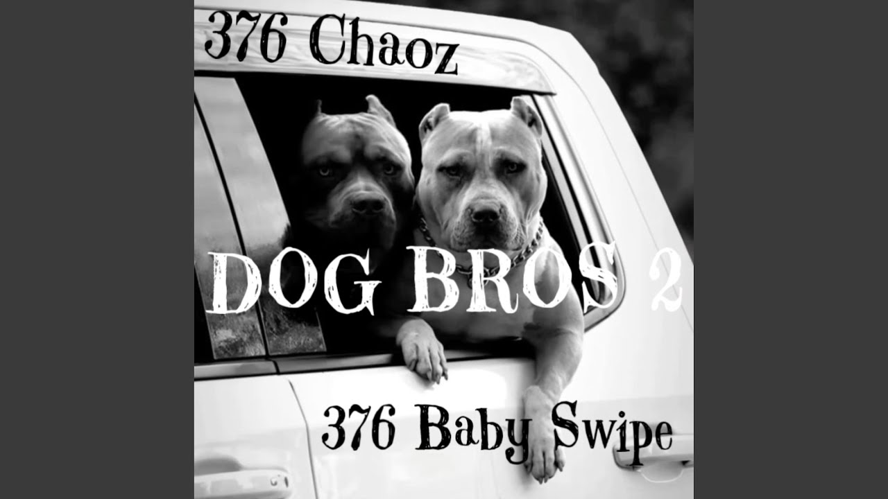 Dog Bros 2 (feat. 376 Baby Swipe) - YouTube