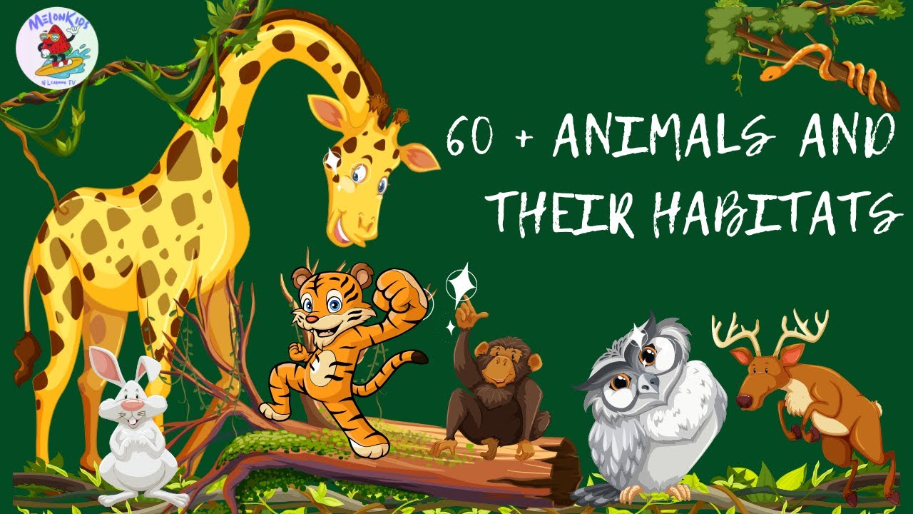 Discover the Fascinating World of 60+ Wild Animals and Their Habitats ...