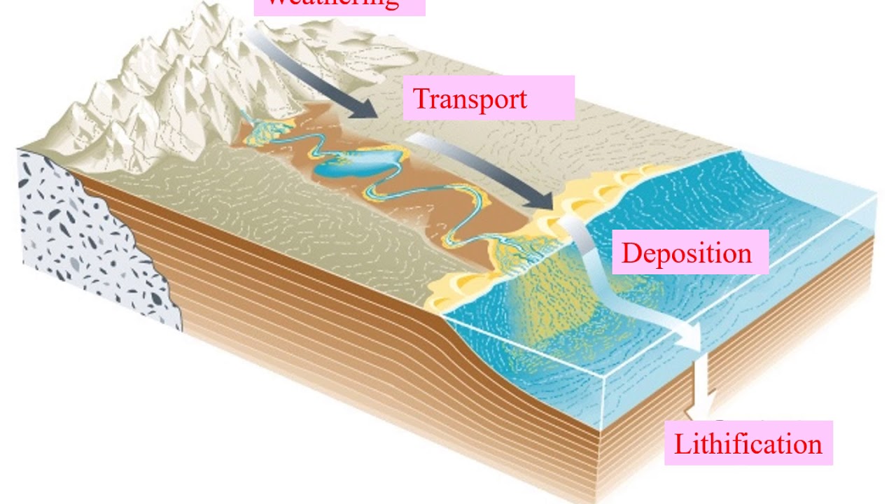 6 sedimentary - YouTube