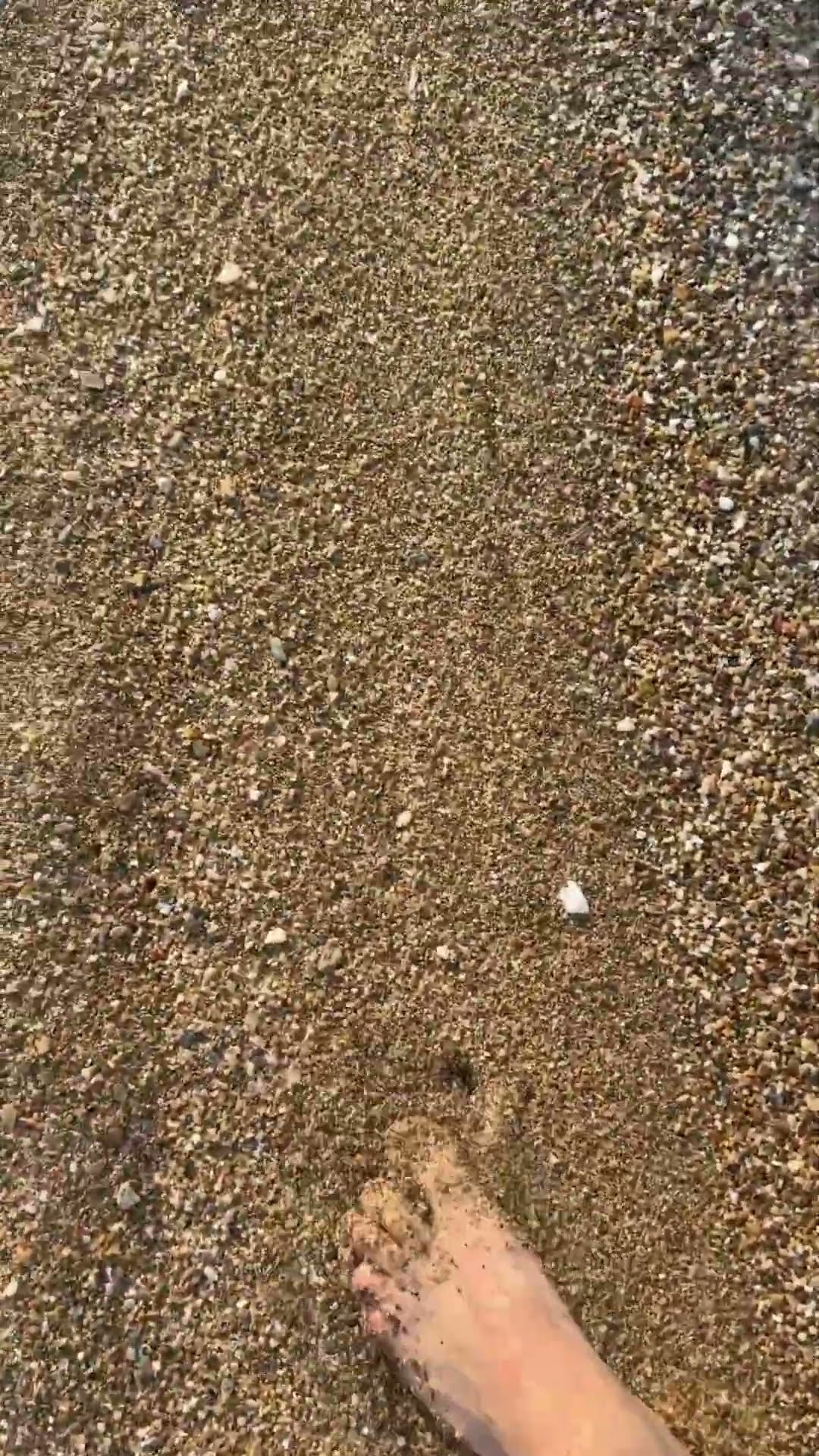 Crab tried to bite my toe! #shorts - YouTube
