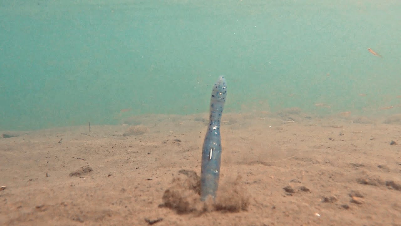 1K SUB FISHING CELEBRATION!!(Thank You For The Support) - YouTube