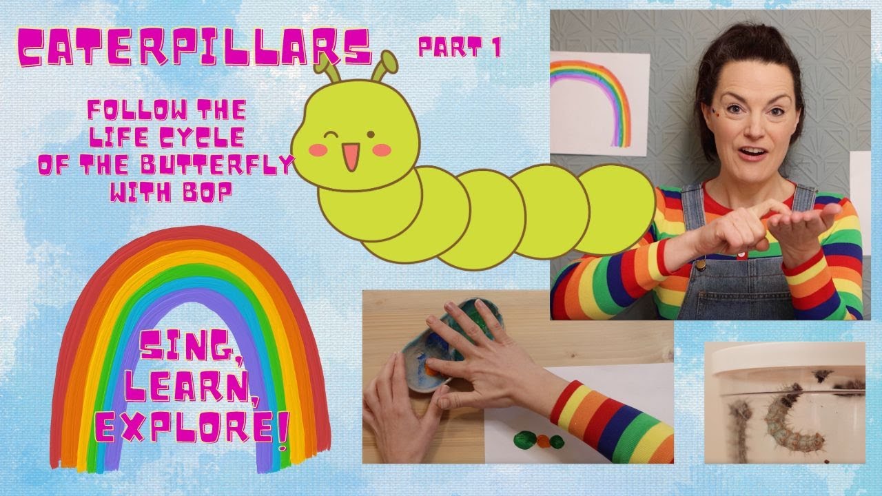 Caterpillars! BopTime! Sing, Learn, Explore! Educational | Part 1 Life ...