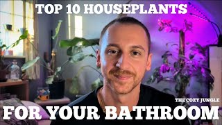 Top 10 Best Bathroom Plants | Low Light & High Humidity Houseplants That Thrive