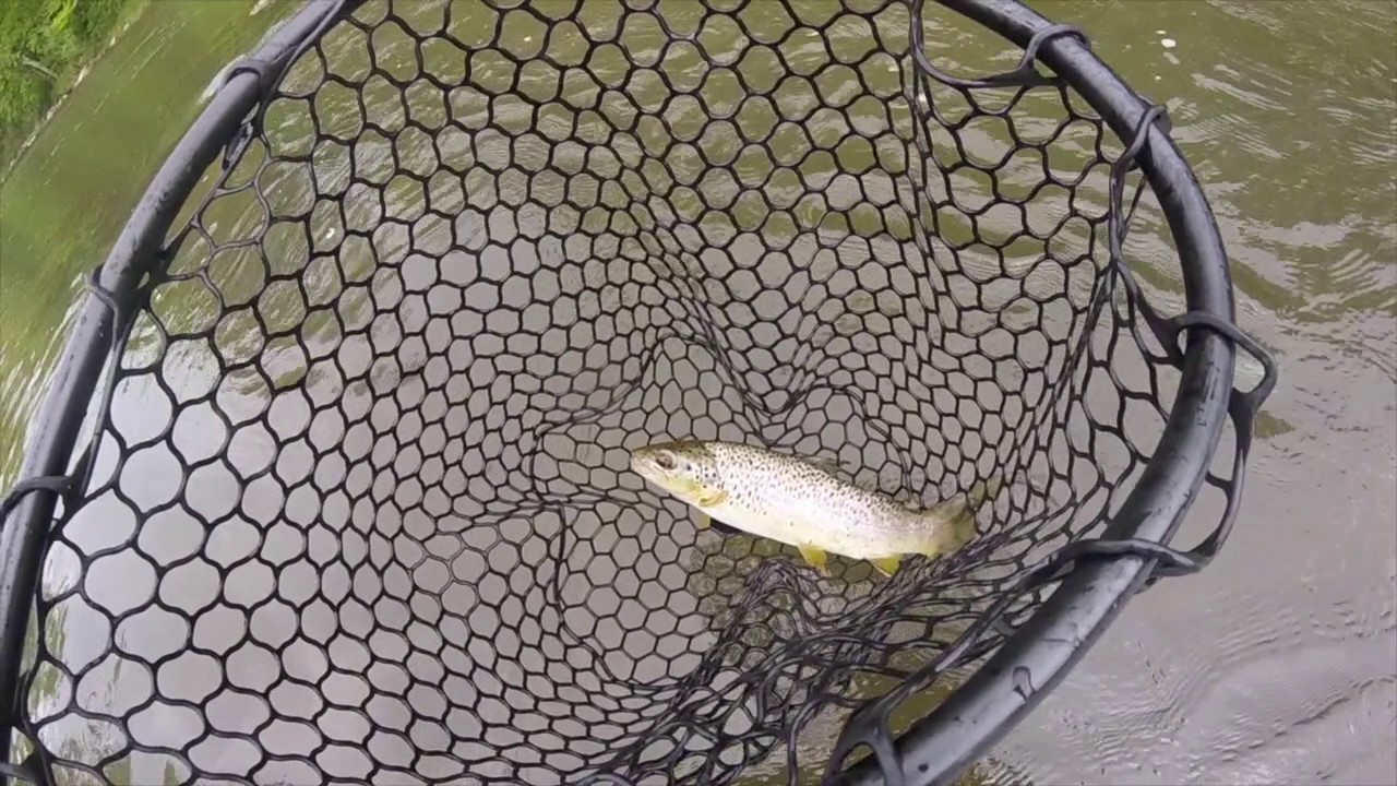 #24 - Penns Creek PA - Fishing the top 100 Trout Streams in America ...