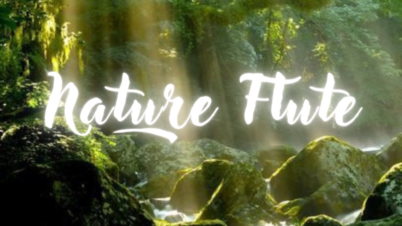 ☾︎.*Wooden Flute and Nature - birds, water and sound healing フルート・自然の音˚ ...
