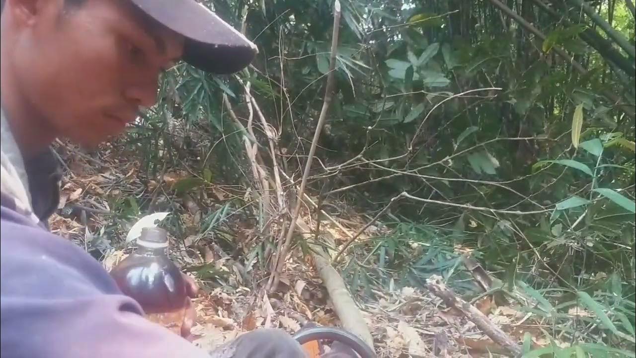 hnub no wb ntov ntoo hauv teb tag kiag lawm lau - YouTube