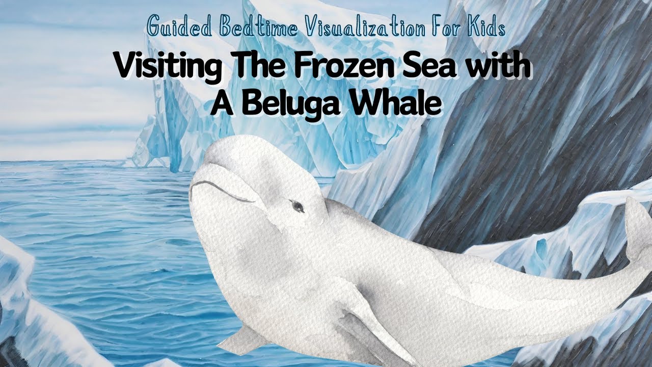 Visiting The Frozen Sea With A Beluga Whale | Calming Bedtime ...
