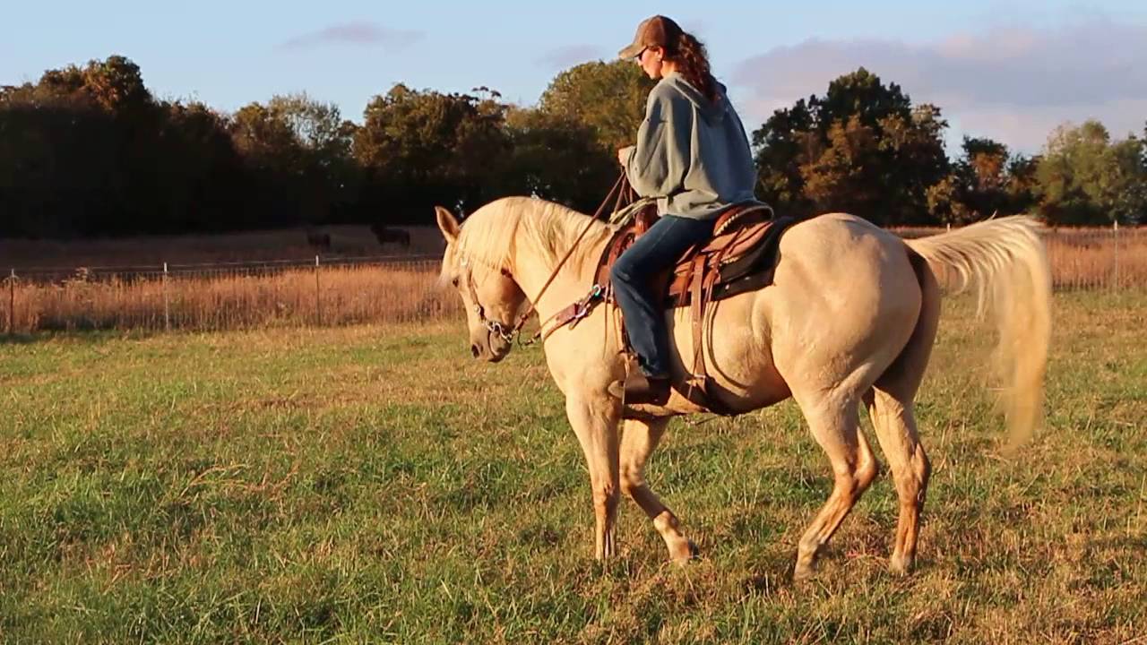 Doc Jac Tivio - YouTube