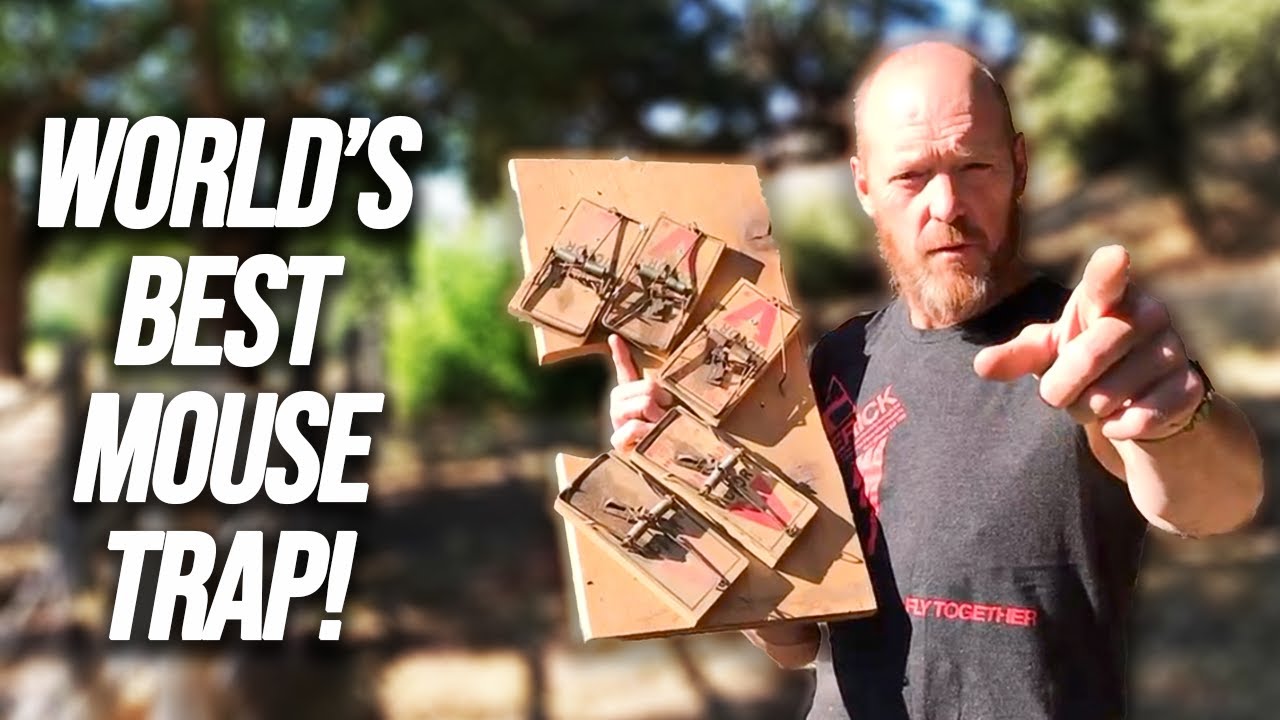 THE WORLD'S BEST MOUSETRAP! - YouTube