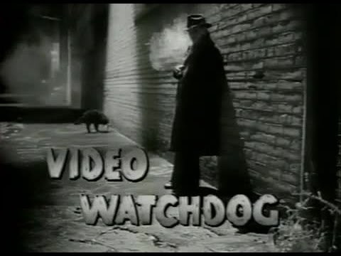The Video Watchdog Overview Segment - YouTube