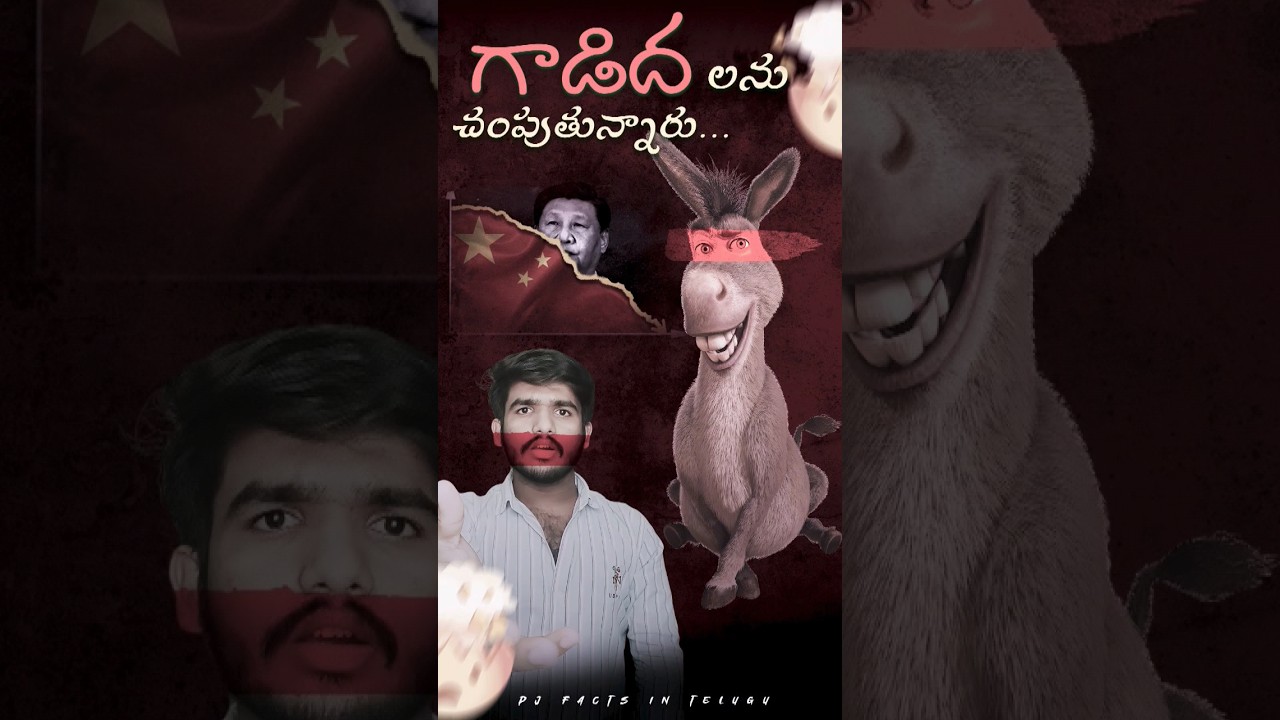 గాడిదలను ఎందుకు చంపుతున్నారు? 😱🐴 #facts #telugu #telugufacts #donkey # ...