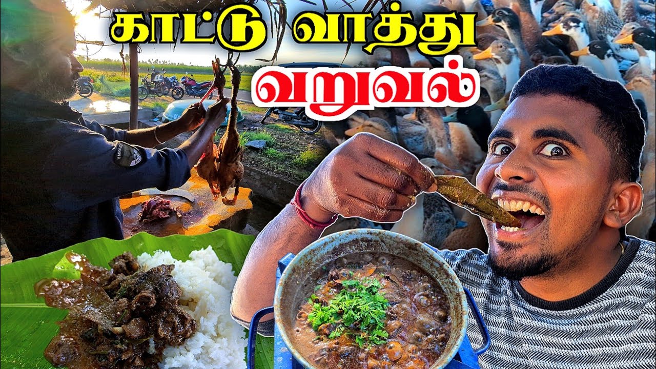 🔥அட்டகாசமான "காட்டு வாத்து" வறுவல் | COUNTRY DUCK CURRY RECIPE ...