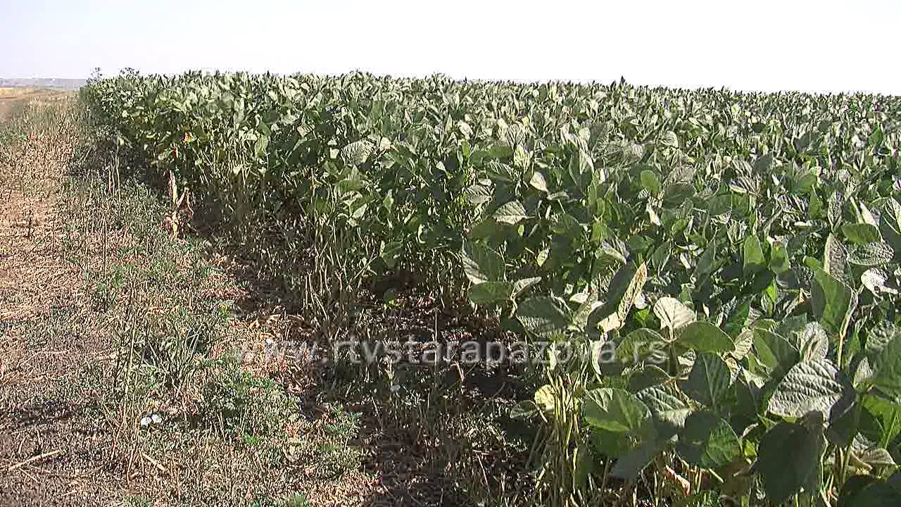 Poljoprivreda - YouTube