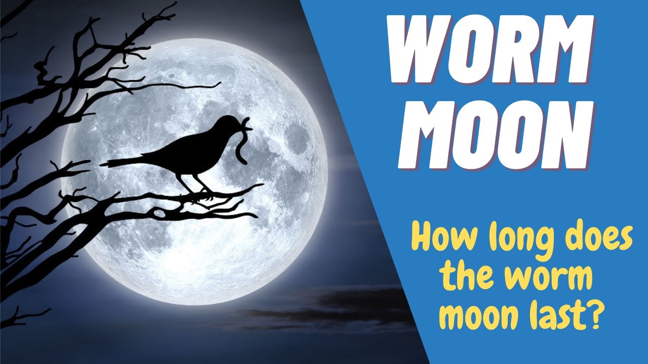 Worm Moon: Some Fast Facts You Need to Know | What Is A Worm Moon ...