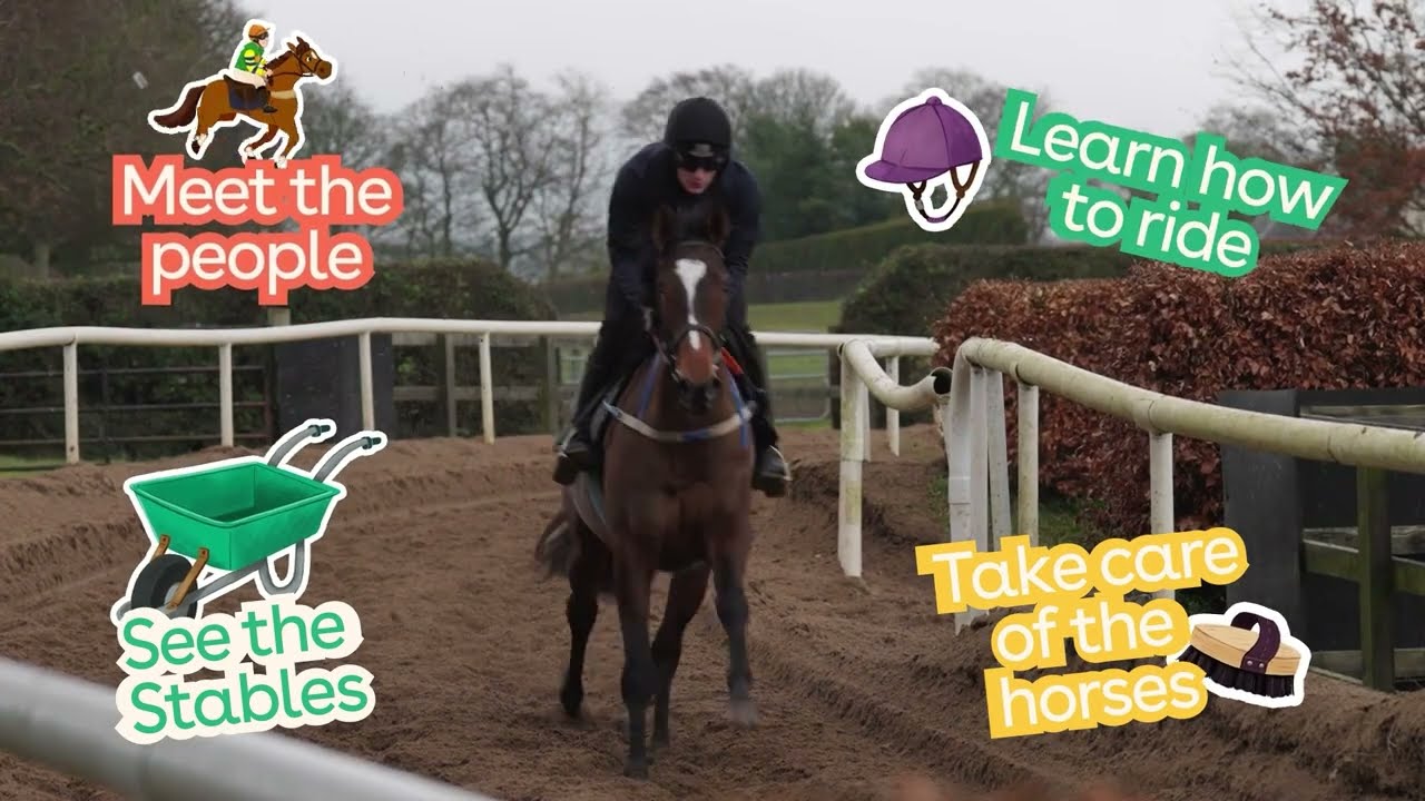 The Road To Racing | Primary School Programme | HRI Racing Juniors ...