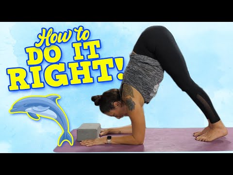 Dolphin Yoga Pose - Strengthens Core & Shoulders - YouTube