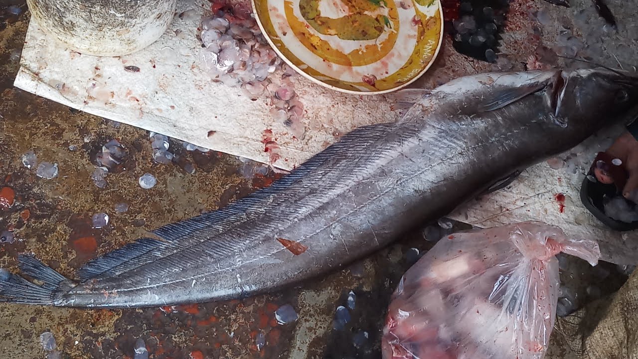 10 Kg Weight Testy Bowal Fish Cutting l River Monster Catfish l Fish ...