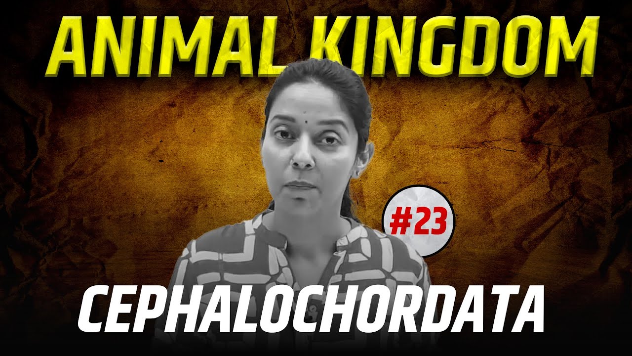 #23-cephalochordata | Protochordata| Acraniata| Phylum Chordata ...